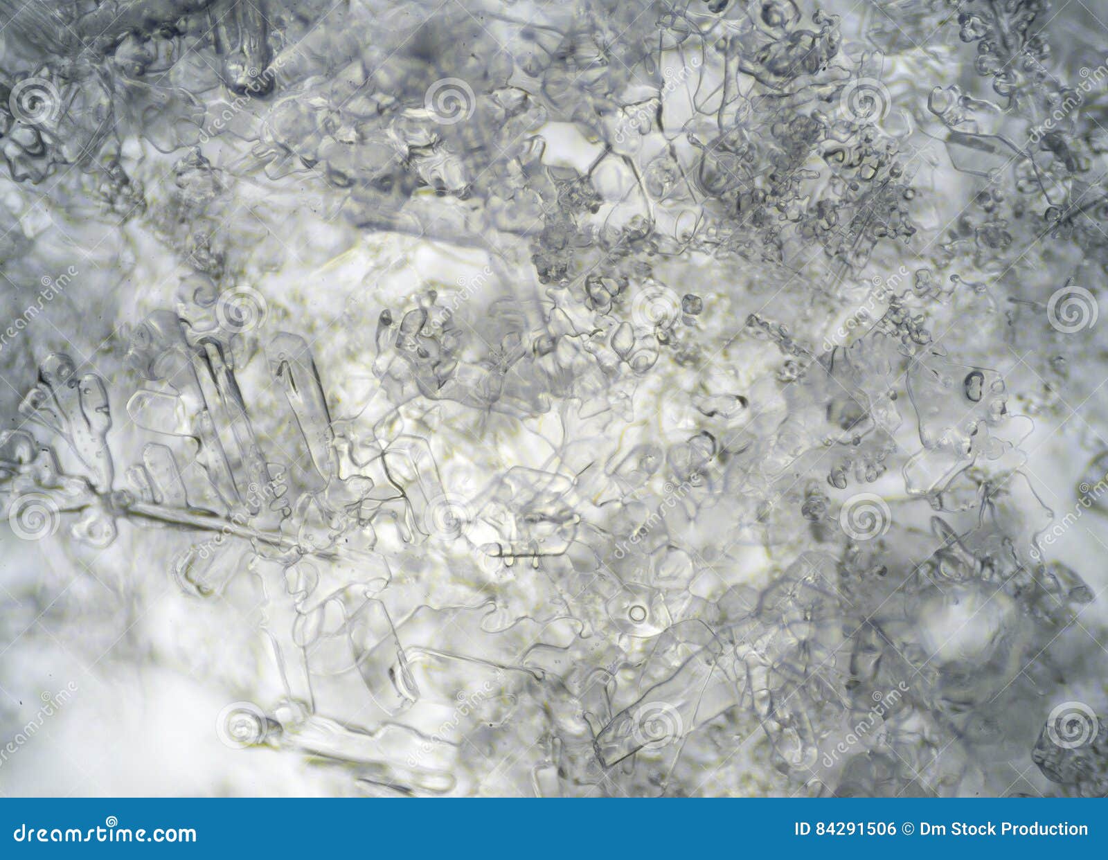 Snowflakes Under Microscope. Stock Photo - Image of flakes, microscopic ...