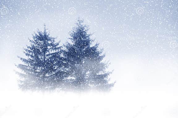 Snowing stock photo. Image of landscape, background, season - 11585178