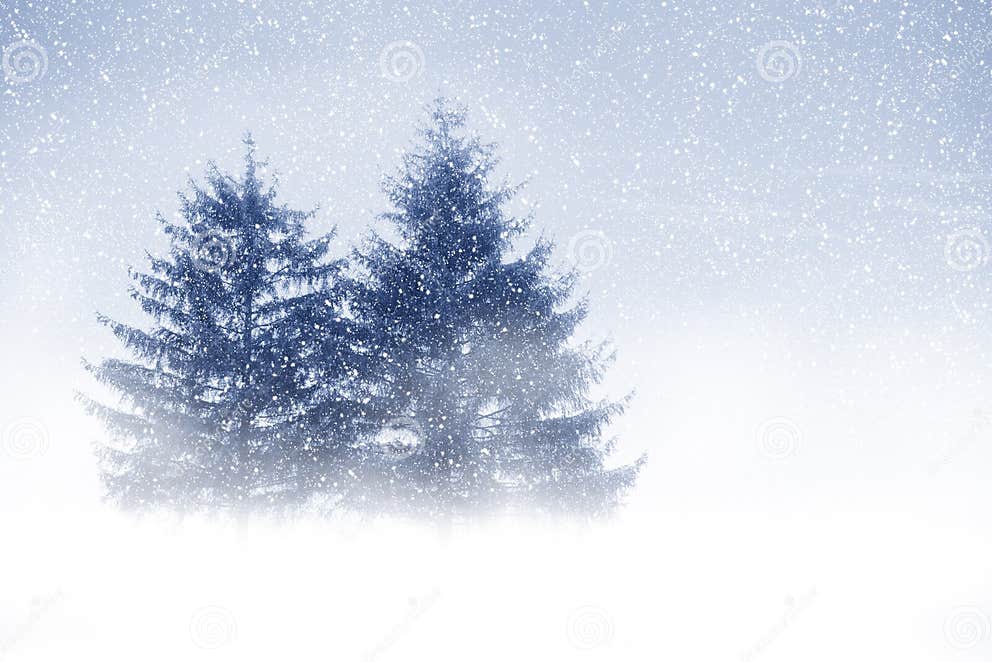 Snowing stock photo. Image of landscape, background, season - 11585178