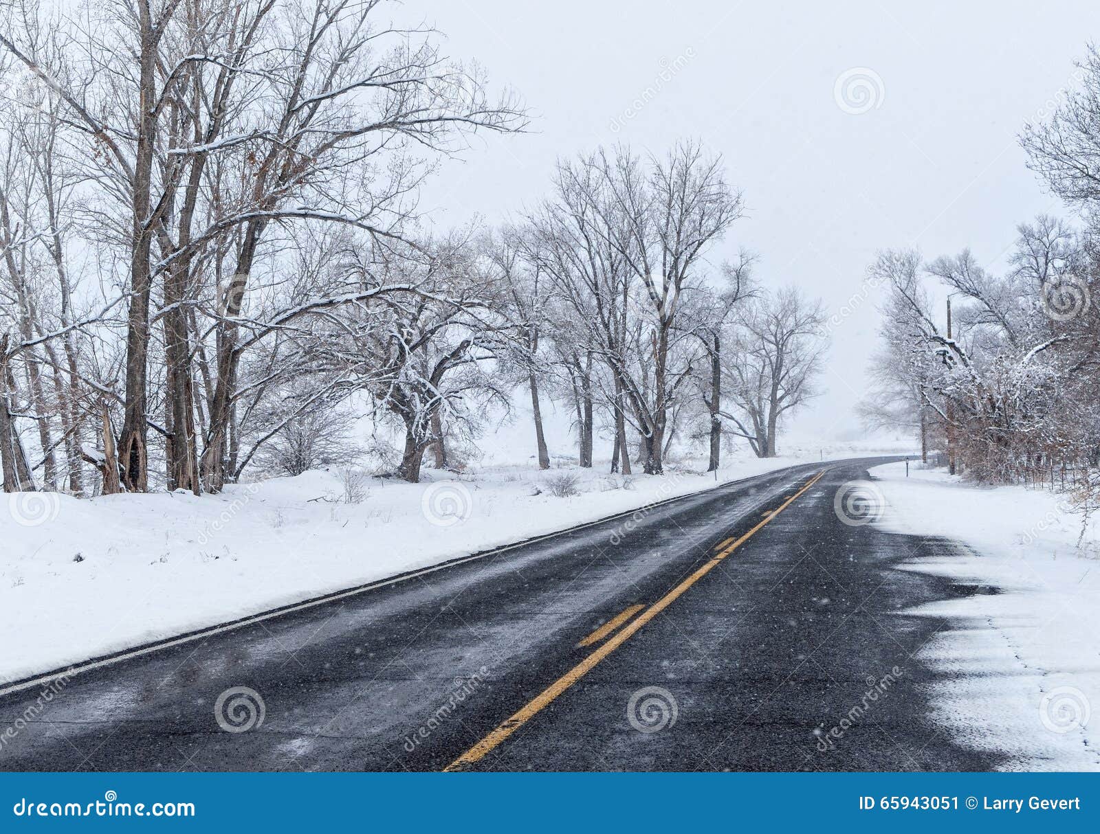 Snowing on the back road stock image. Image of frosty - 65943051