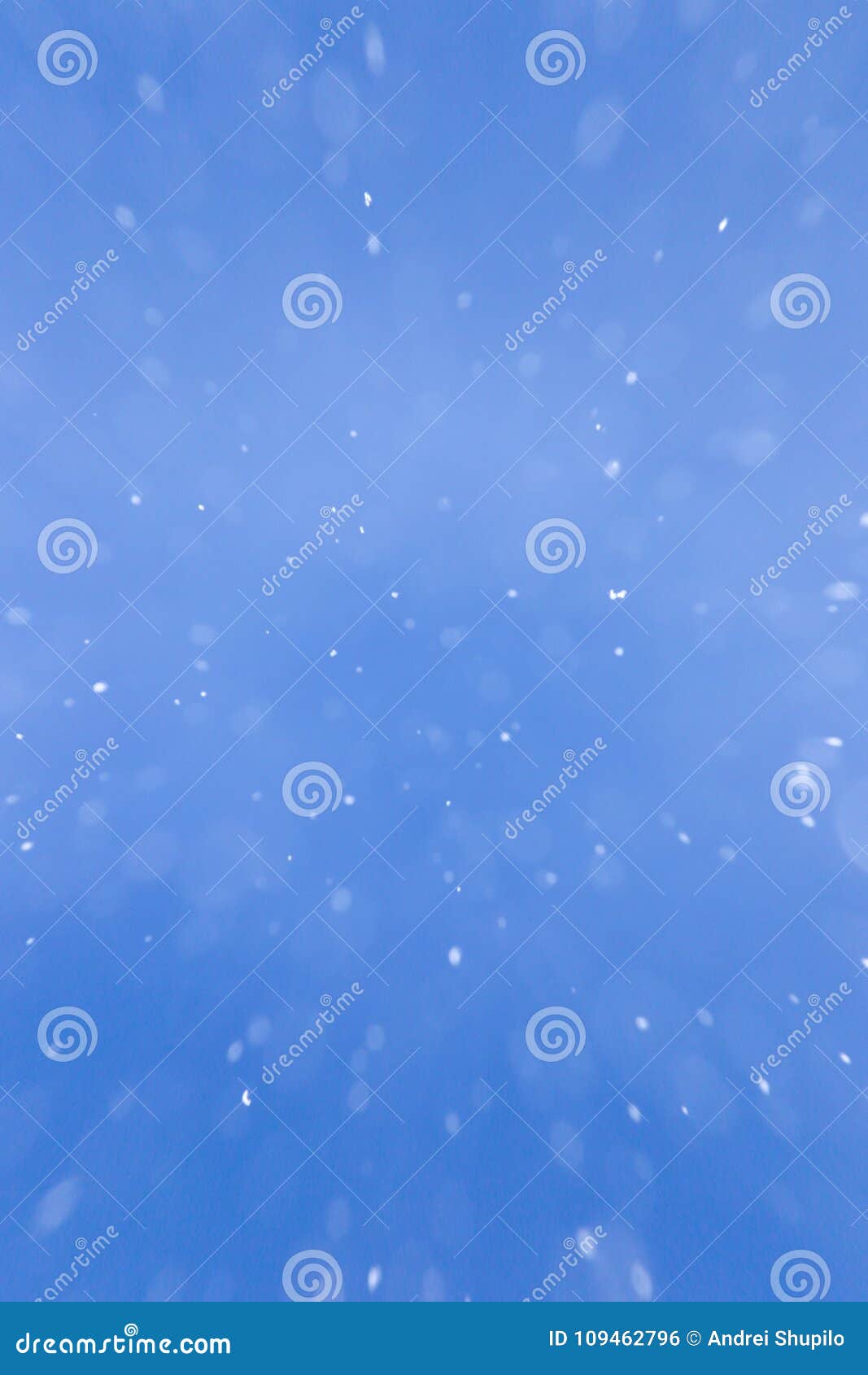 Snowing on a blue sky stock photo. Image of hoarfrost - 109462796