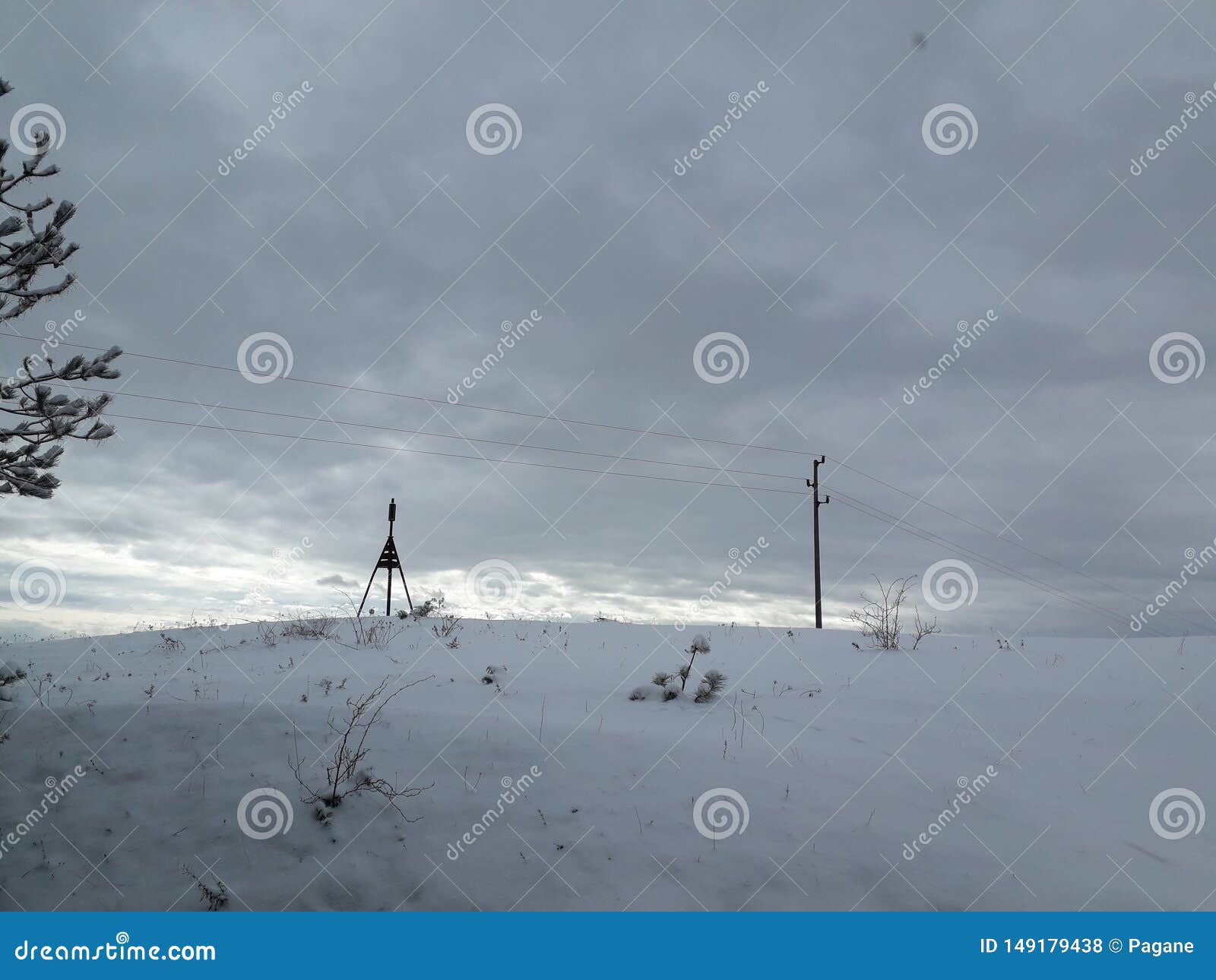 Snowing day stock photo. Image of winter, sunset, snowing - 149179438