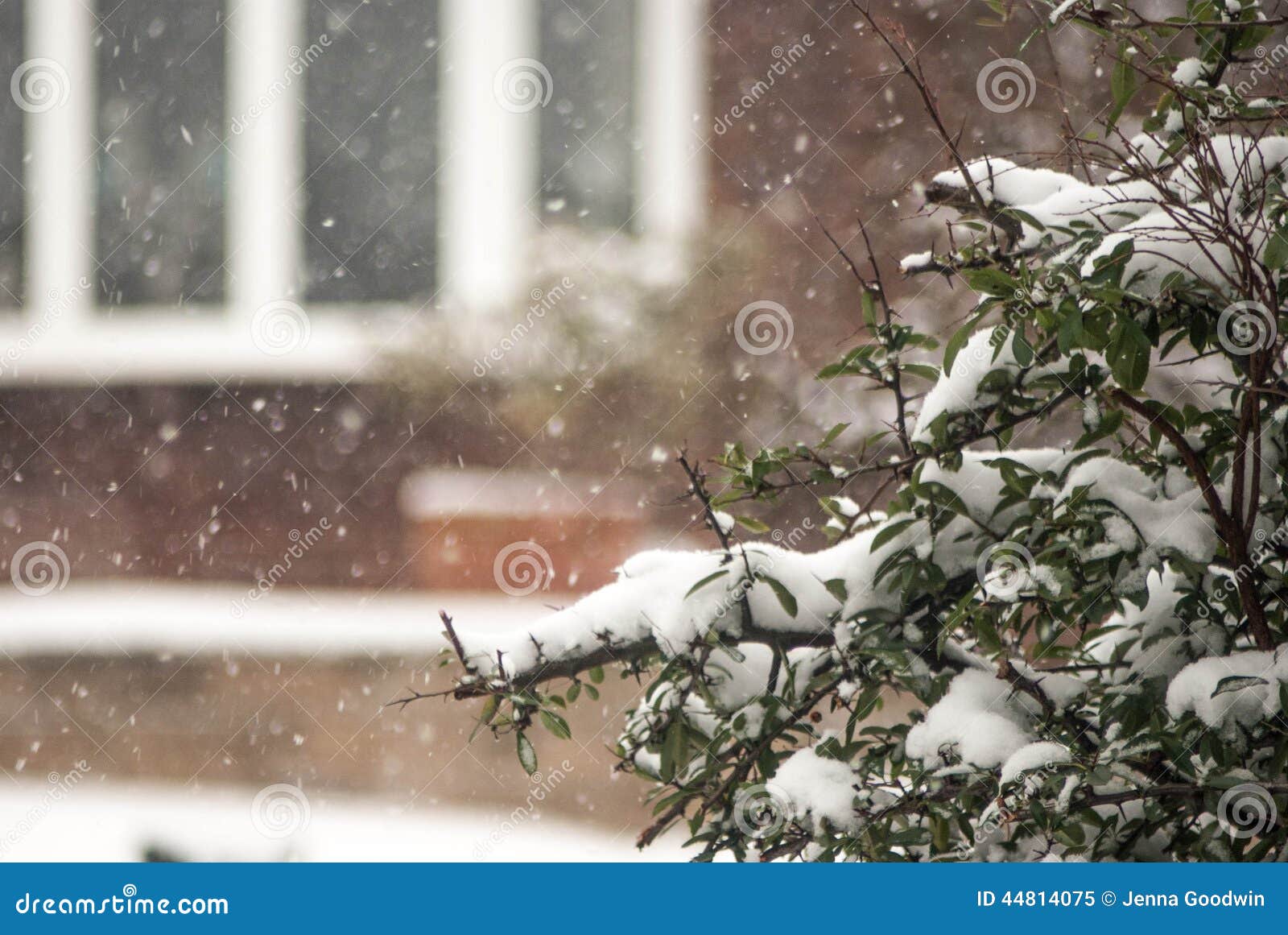 Snowing stock image. Image of privet, christmas, snowing - 44814075