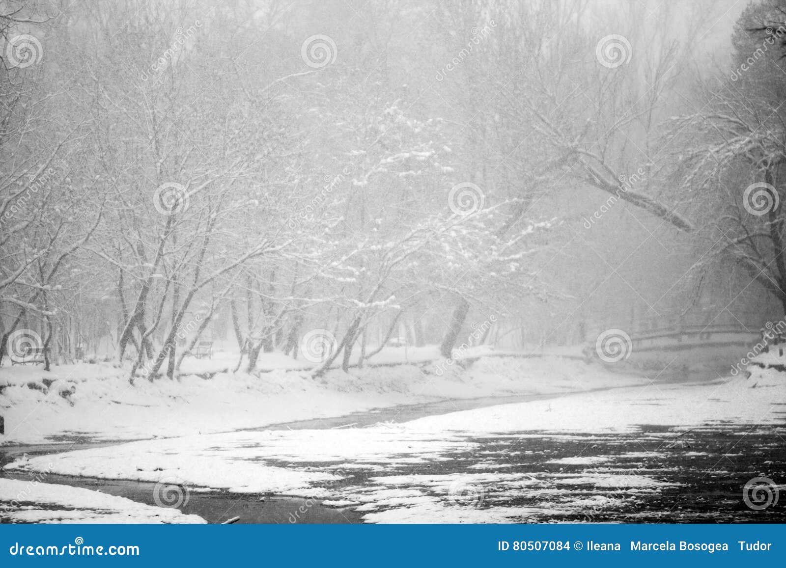 Snowing Landscape in the Park Stock Photo - Image of natural, frozen ...