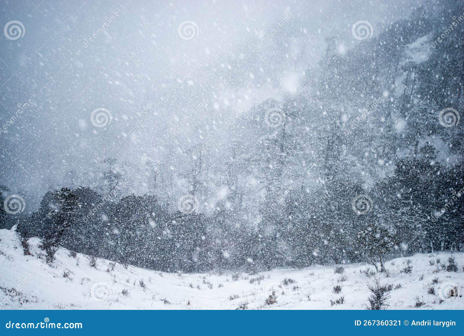 It is Snowing in the Mountains Stock Image - Image of freeze, nature ...