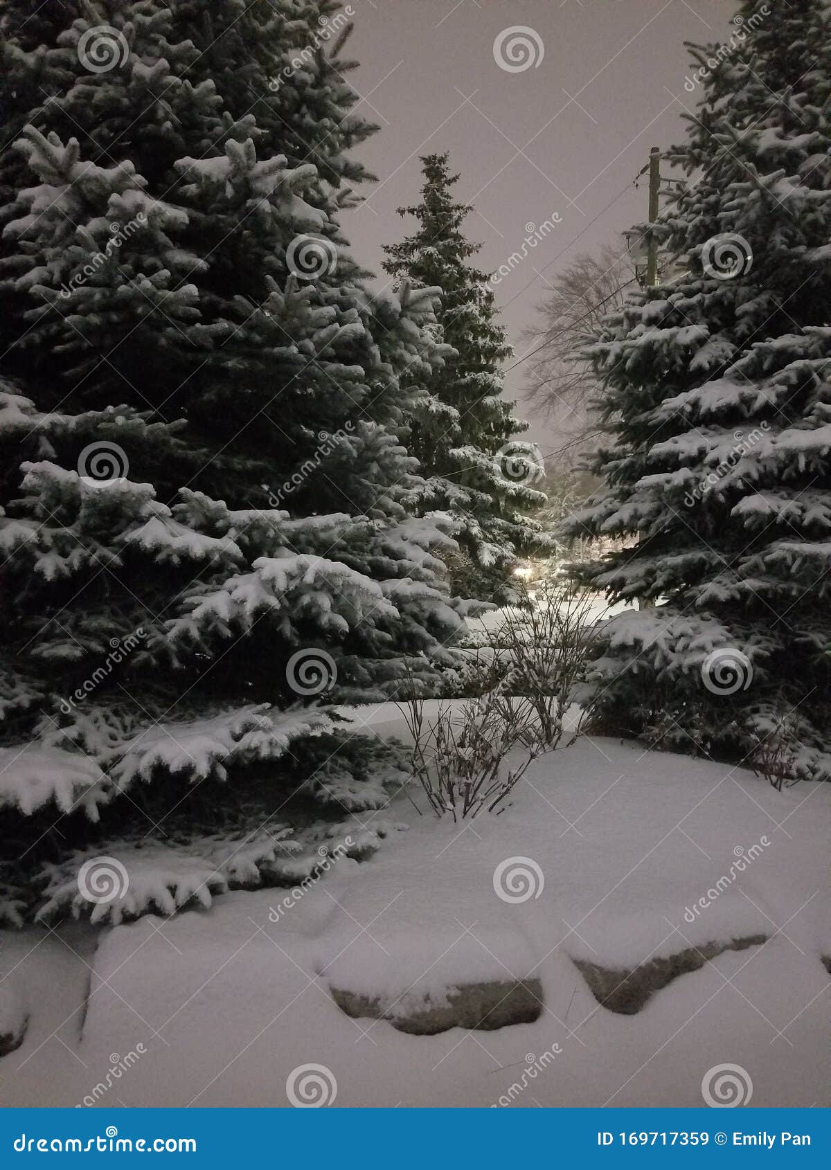 Snowing at Night in Mid January Stock Image - Image of january, night ...