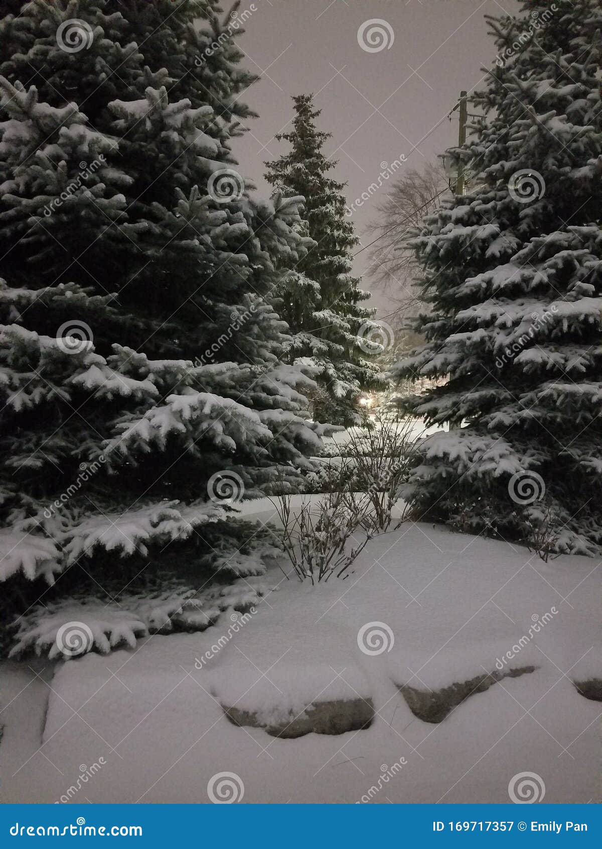Snowing at Night in Mid January Stock Image - Image of front, yard ...