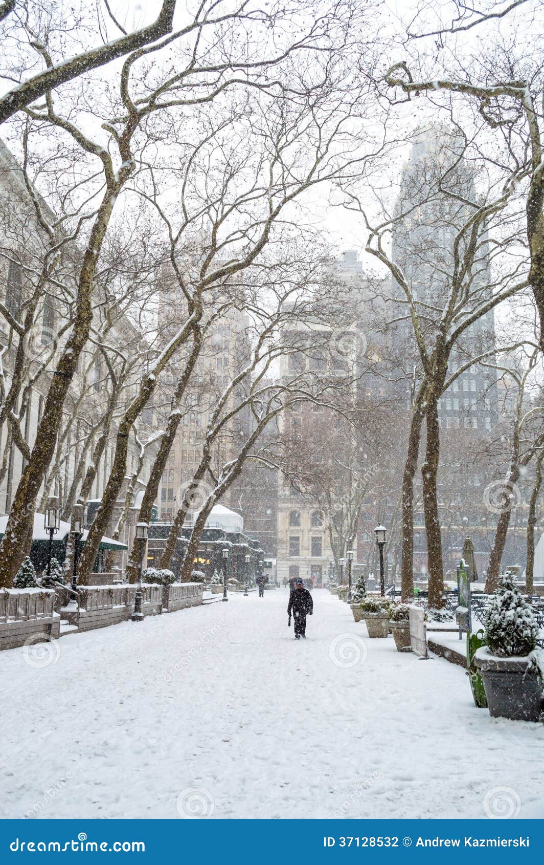 Snowing in the Park editorial photography. Image of library - 37128532