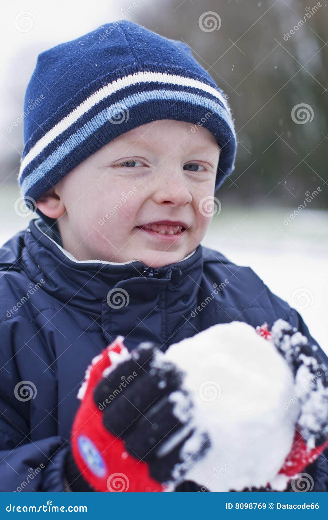 Snowing today stock image. Image of domestic, life, snowball - 8098769