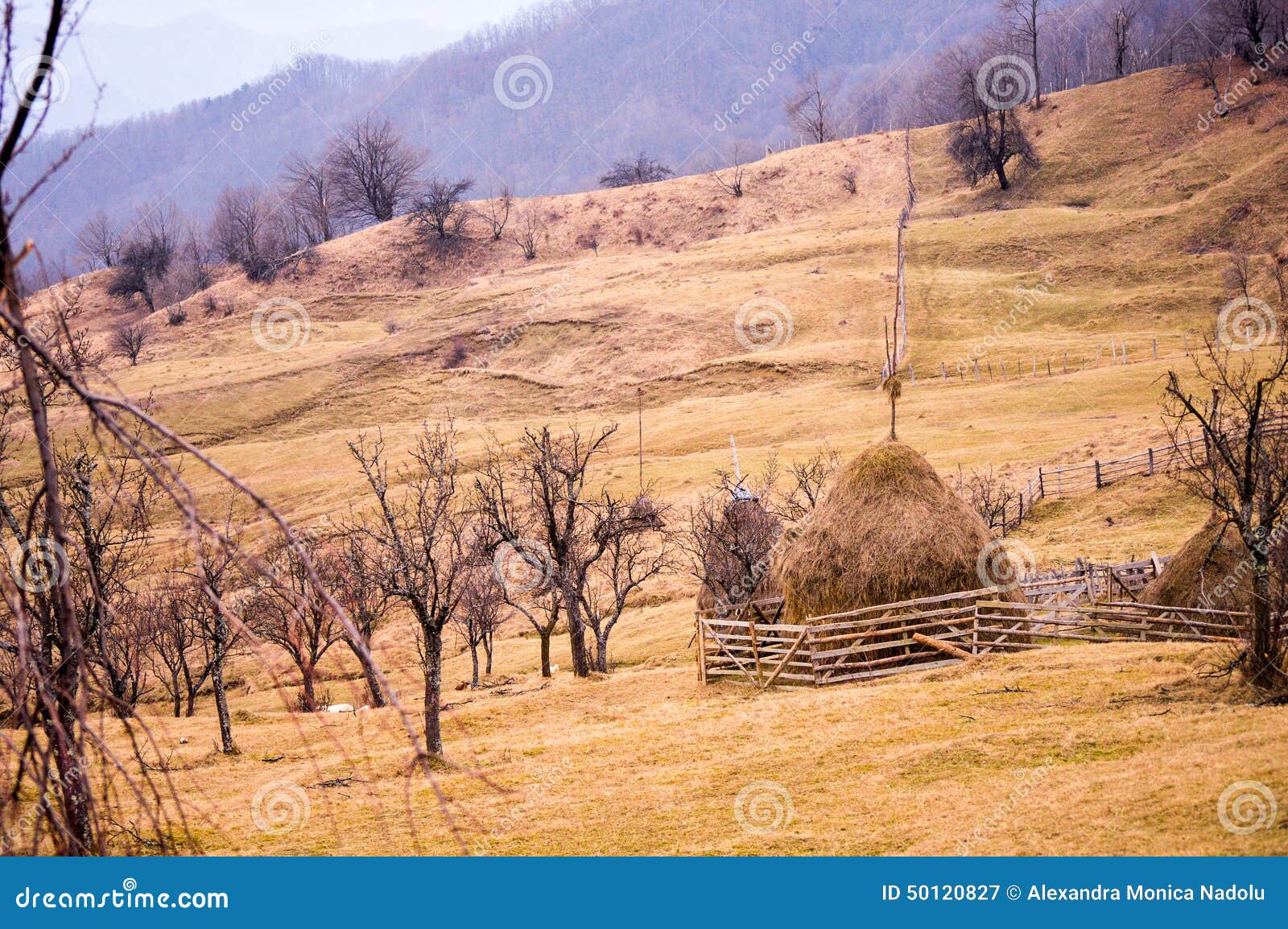 Snowless hillside winter stock image. Image of palewinter - 50120827