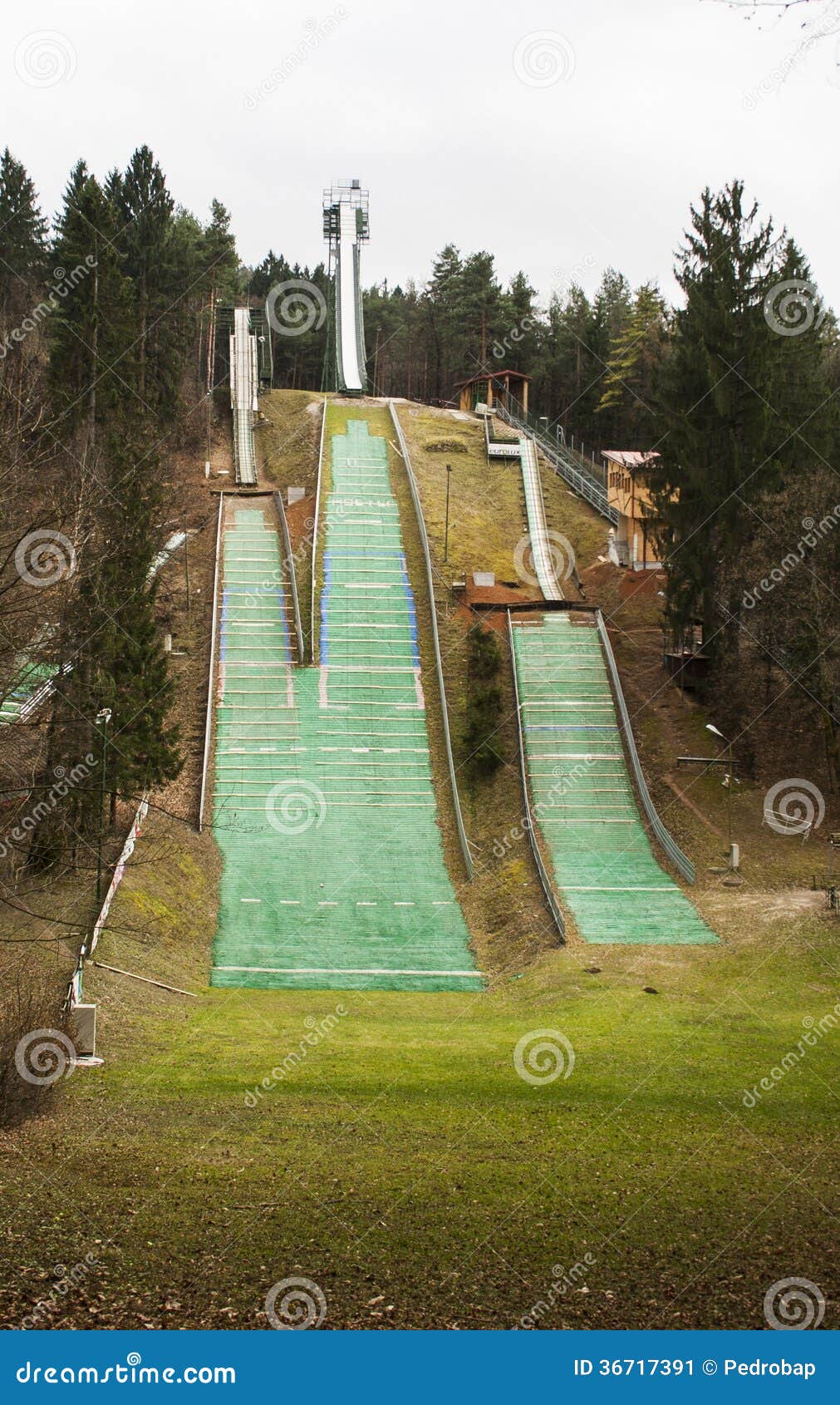 Snowless ski slope stock image. Image of snowless, forest - 36717391
