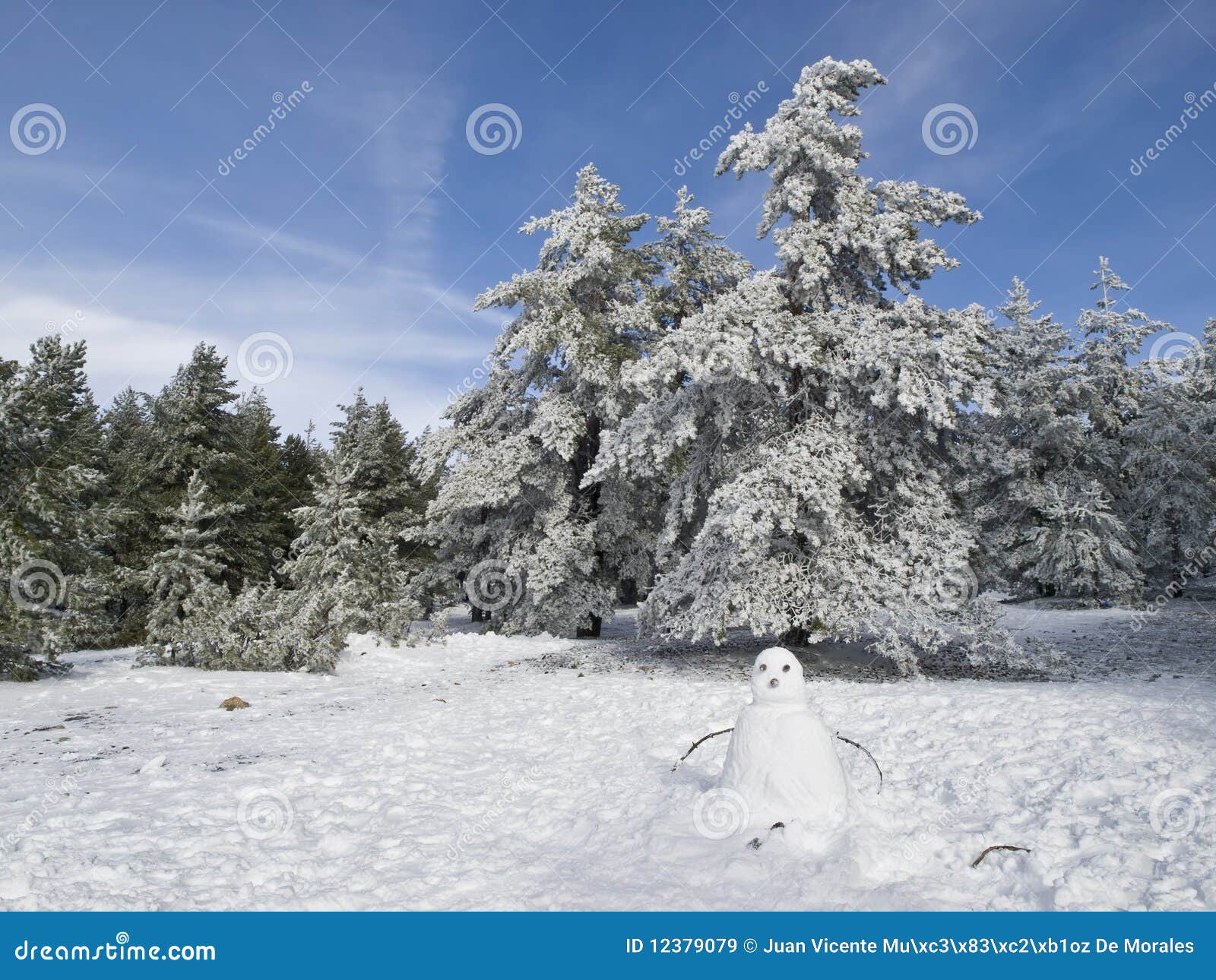 Snowman stock image. Image of christmas, snow, landscape - 12379079