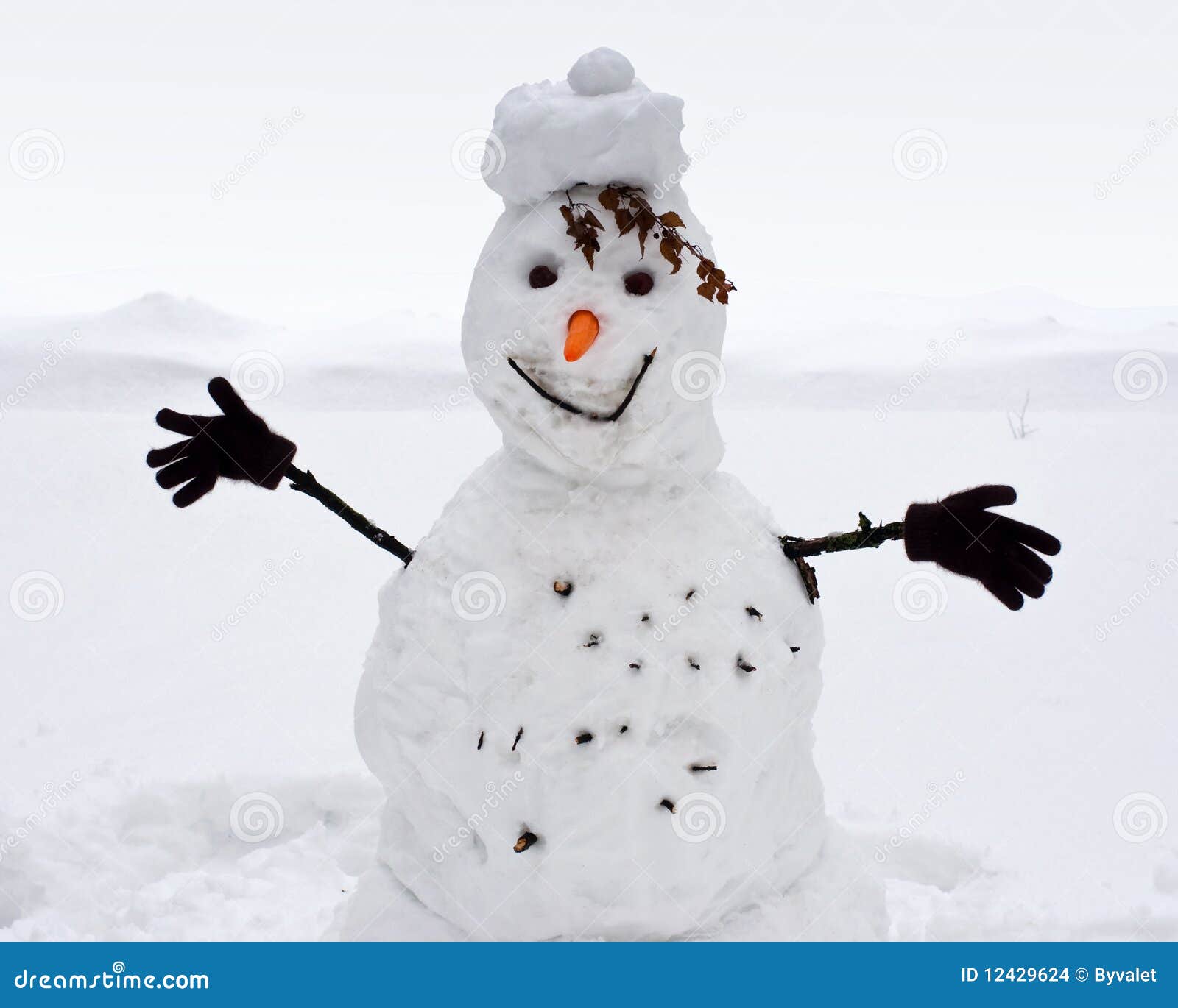 Snowman stock photo. Image of frosty, outdoors, nose - 12429624