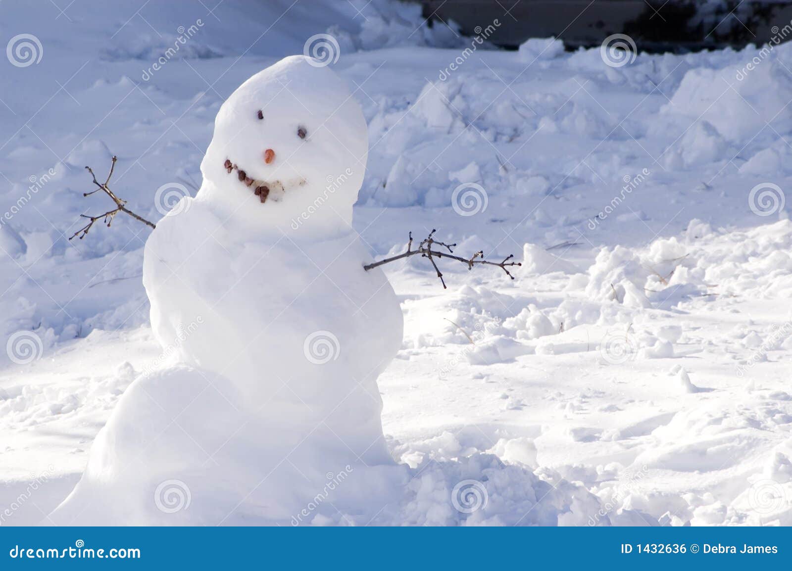 Snowman stock photo. Image of snow, frozen, winter, cold - 1432636