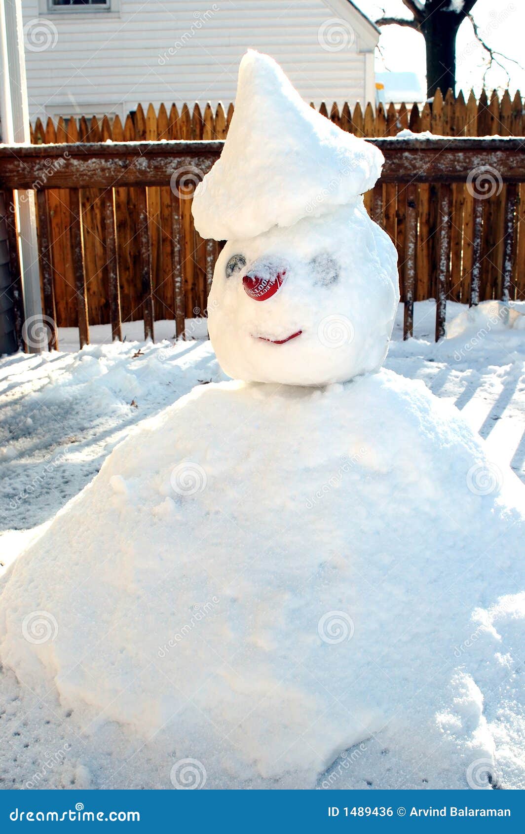 Snowman Picture. Image: 1489436
