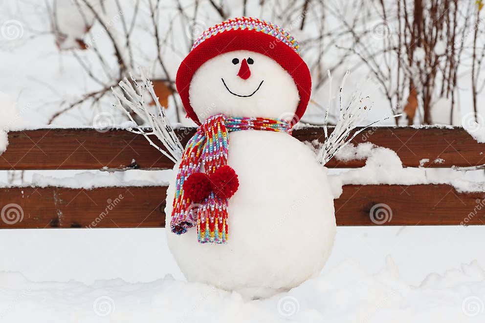Snowman stock photo. Image of years, bonnet, season, smiling - 17302976