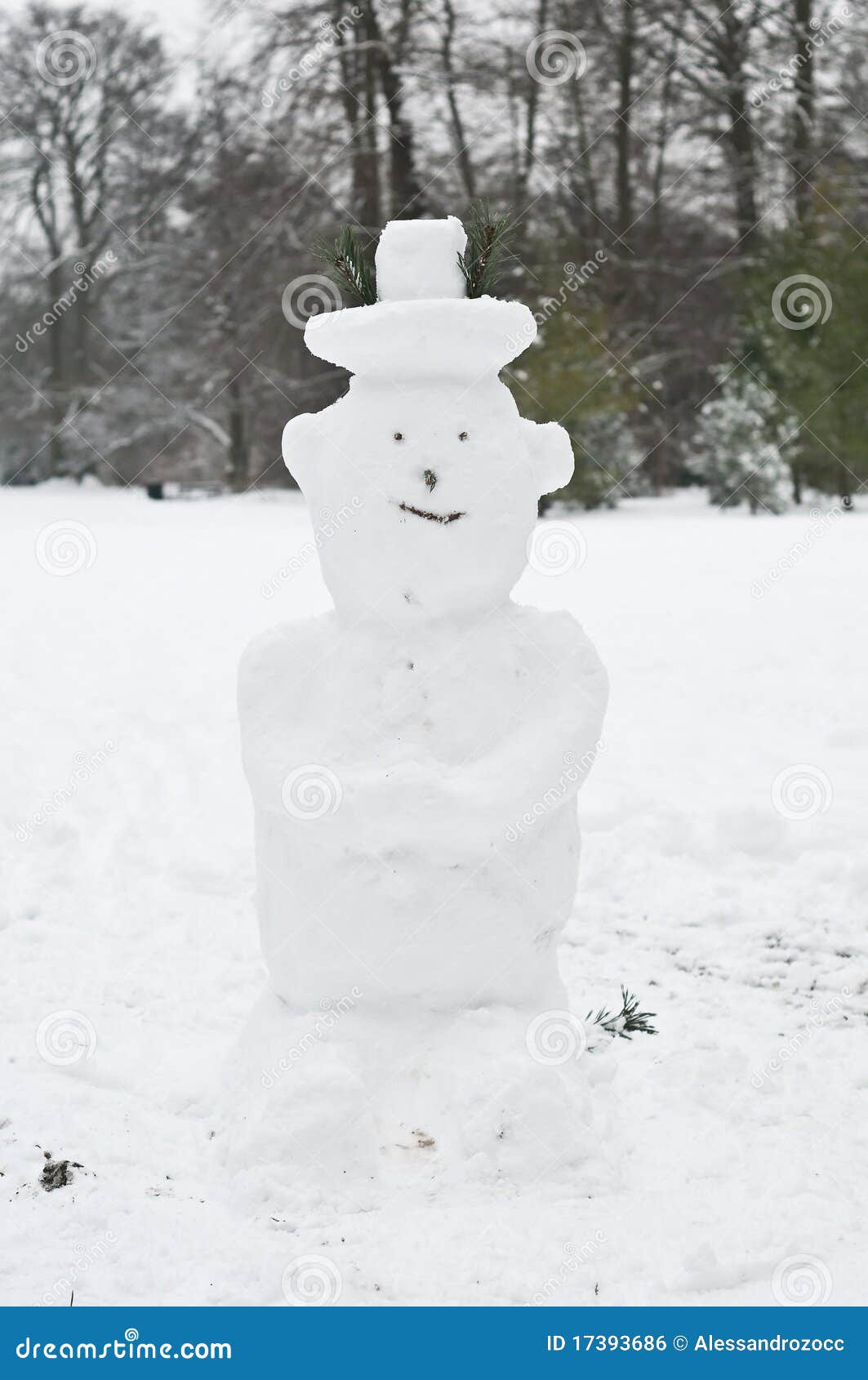 Snowman stock photo. Image of space, cold, nature, playful - 17393686