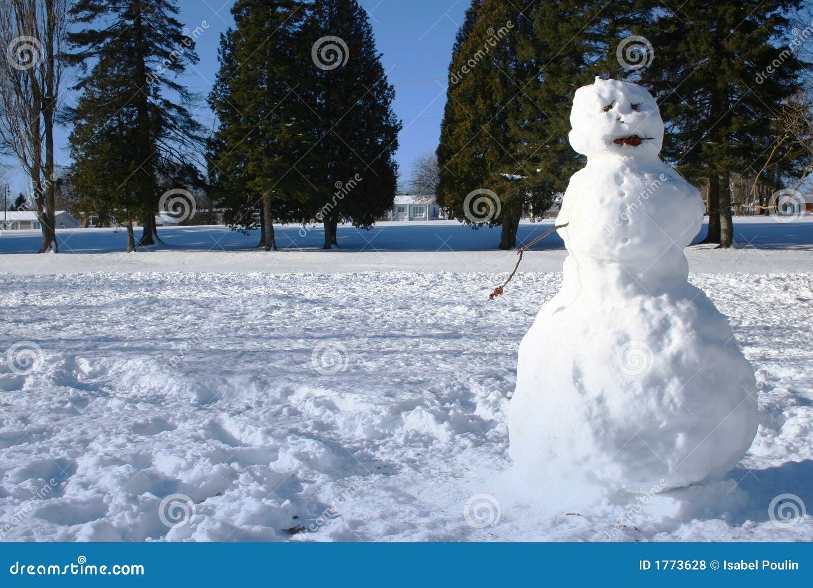 Snowman stock photo. Image of carrot, travel, tree, winter - 1773628