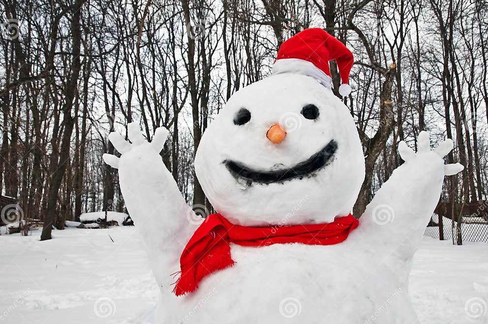 Snowman stock image. Image of nature, garden, happiness - 28035329