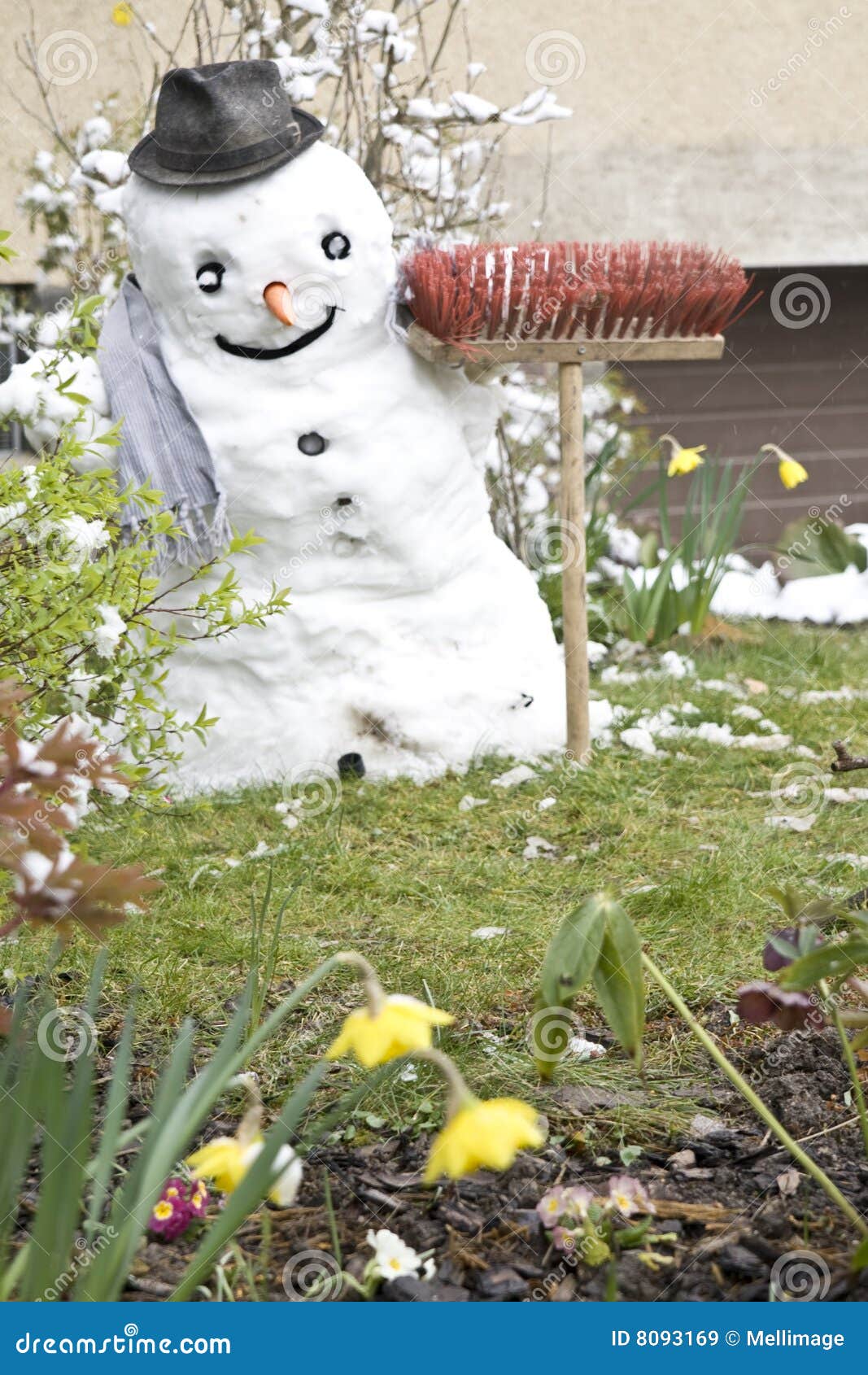 Snowman stock image. Image of melt, warm, springflowers - 8093169