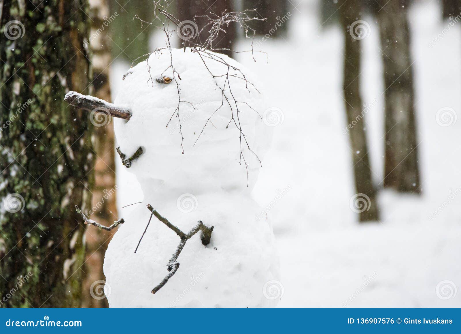 SNowman in Forest. Winter Time. Stock Photo - Image of figure, branch ...