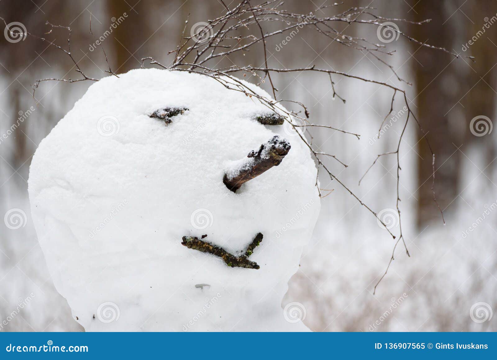 Snowman in Forest. Winter Time. Stock Image - Image of head, season ...