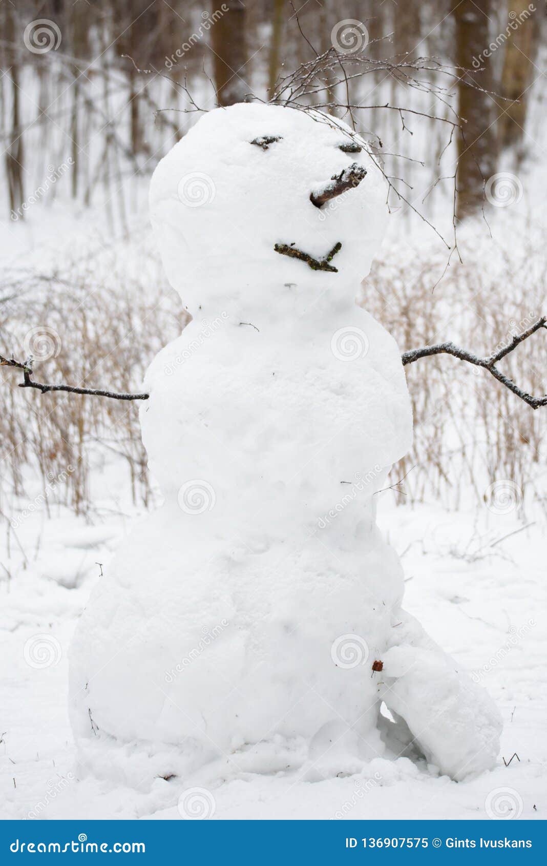 Snowman in Forest. Winter Time. Stock Image - Image of snow, winter ...