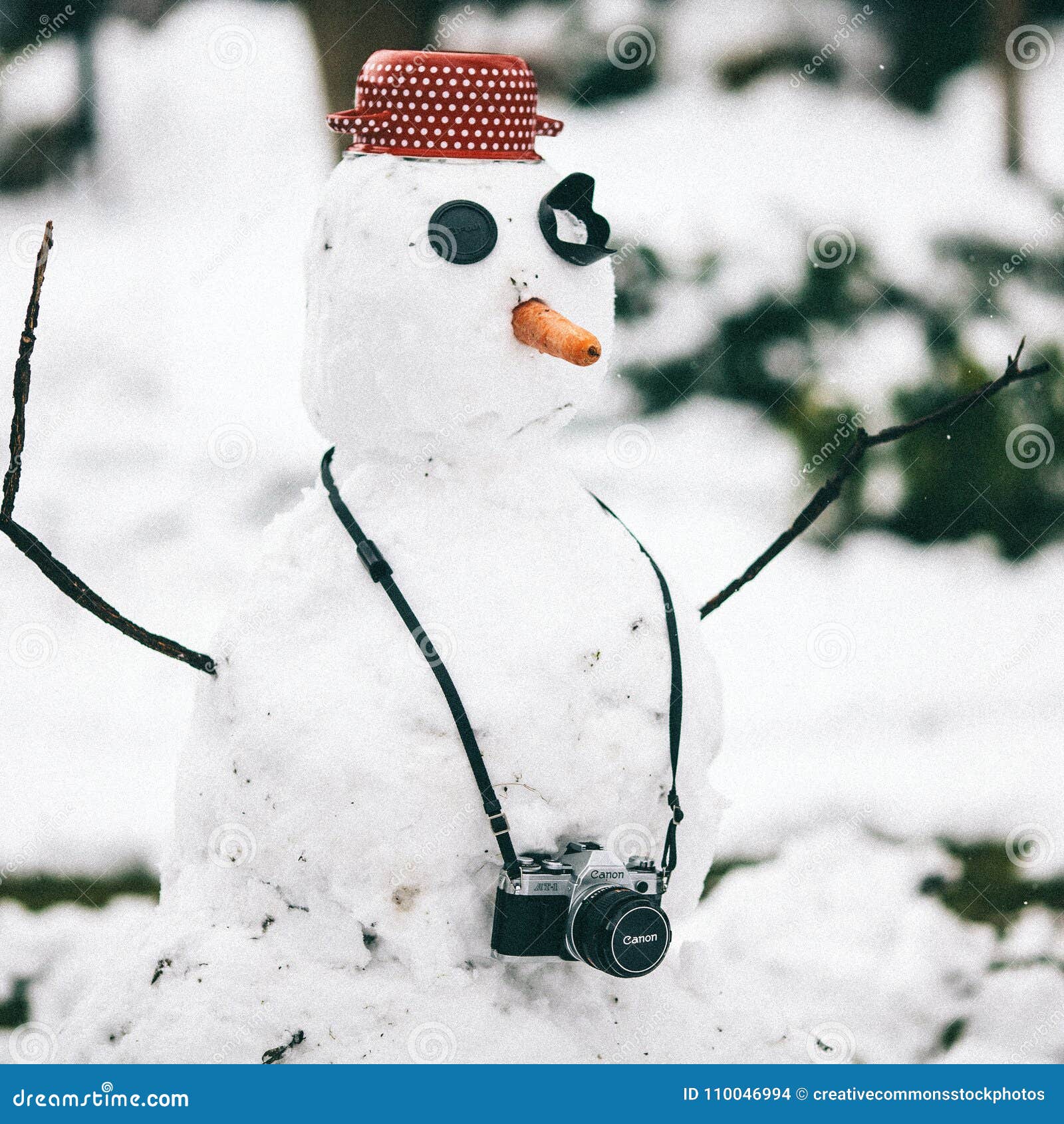 Snowman With Camera Picture. Image: 110046994