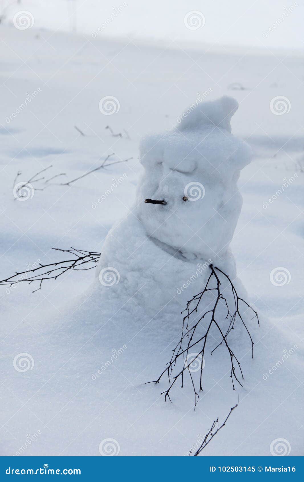 Snowman stock image. Image of branches, outside, frost - 102503145