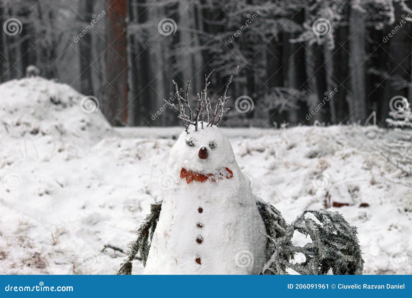 A Beautiful Snowman with a Crown of Tree Branches in a Forest Stock ...