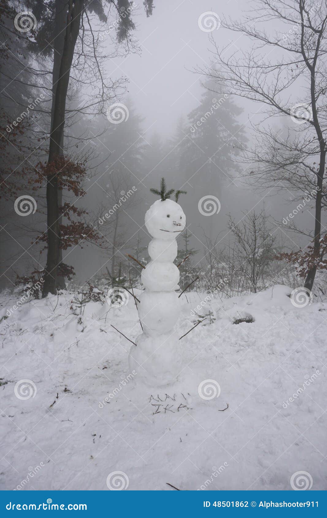 Snowman stock photo. Image of sundown, snowman, winter - 48501862