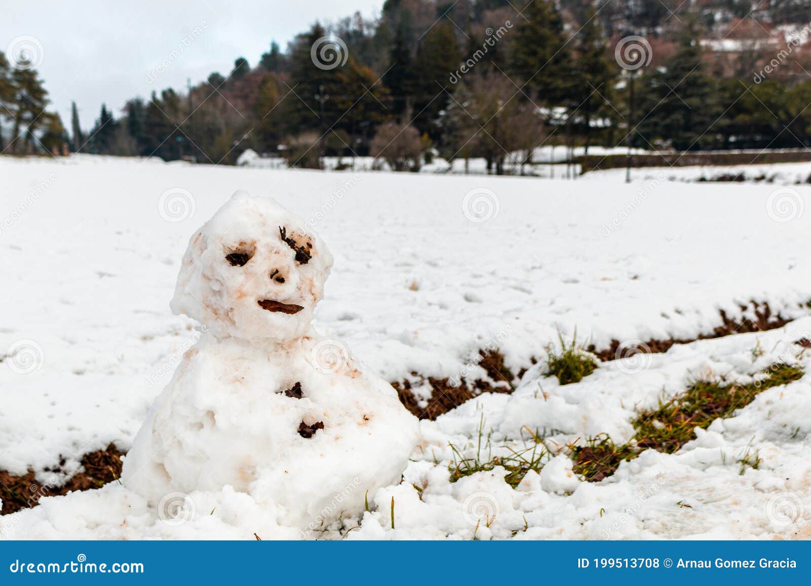 Snowman with Forest in the Background Stock Photo - Image of snow ...