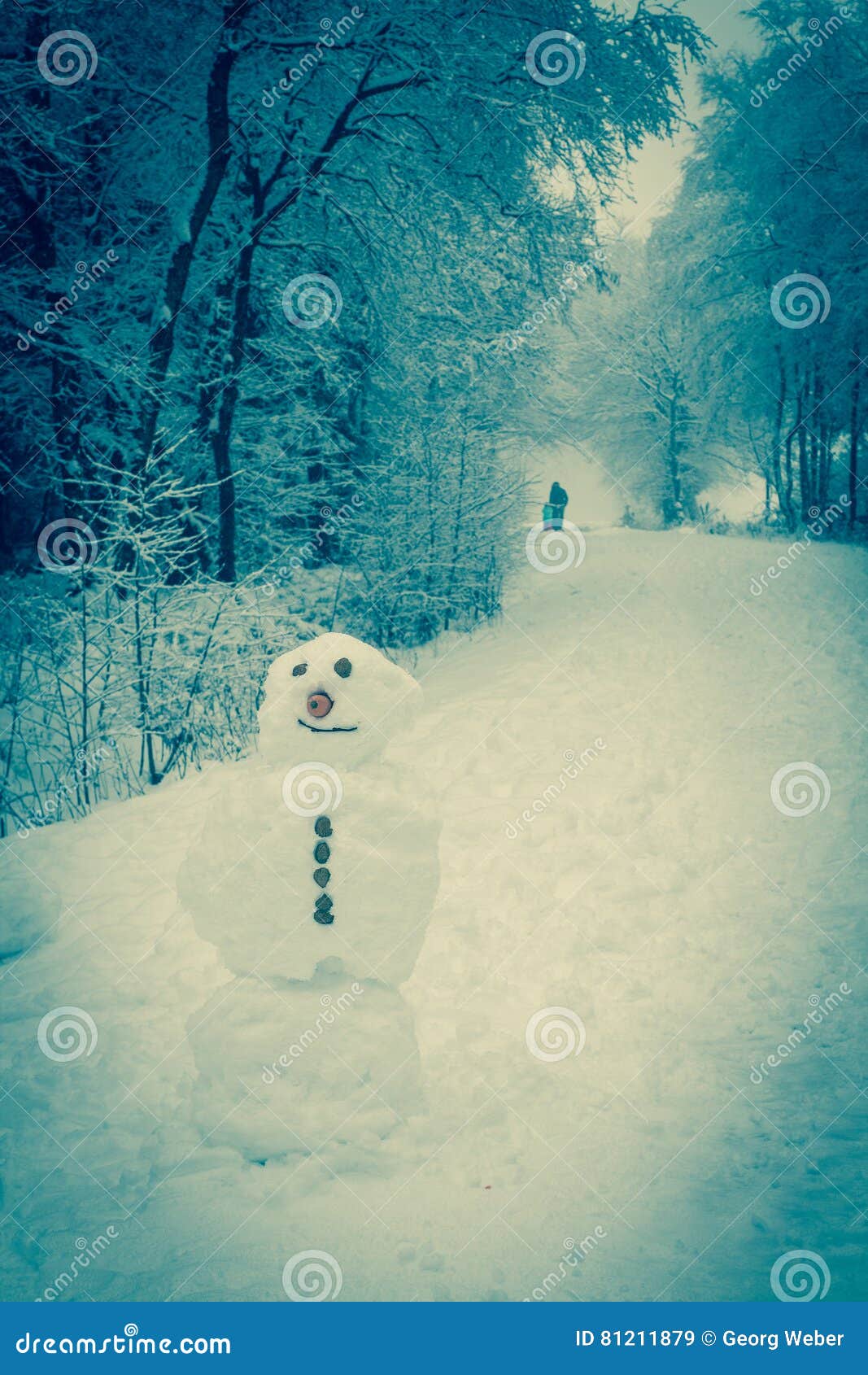 A snowman in the forest. stock image. Image of snow, blizzard - 81211879