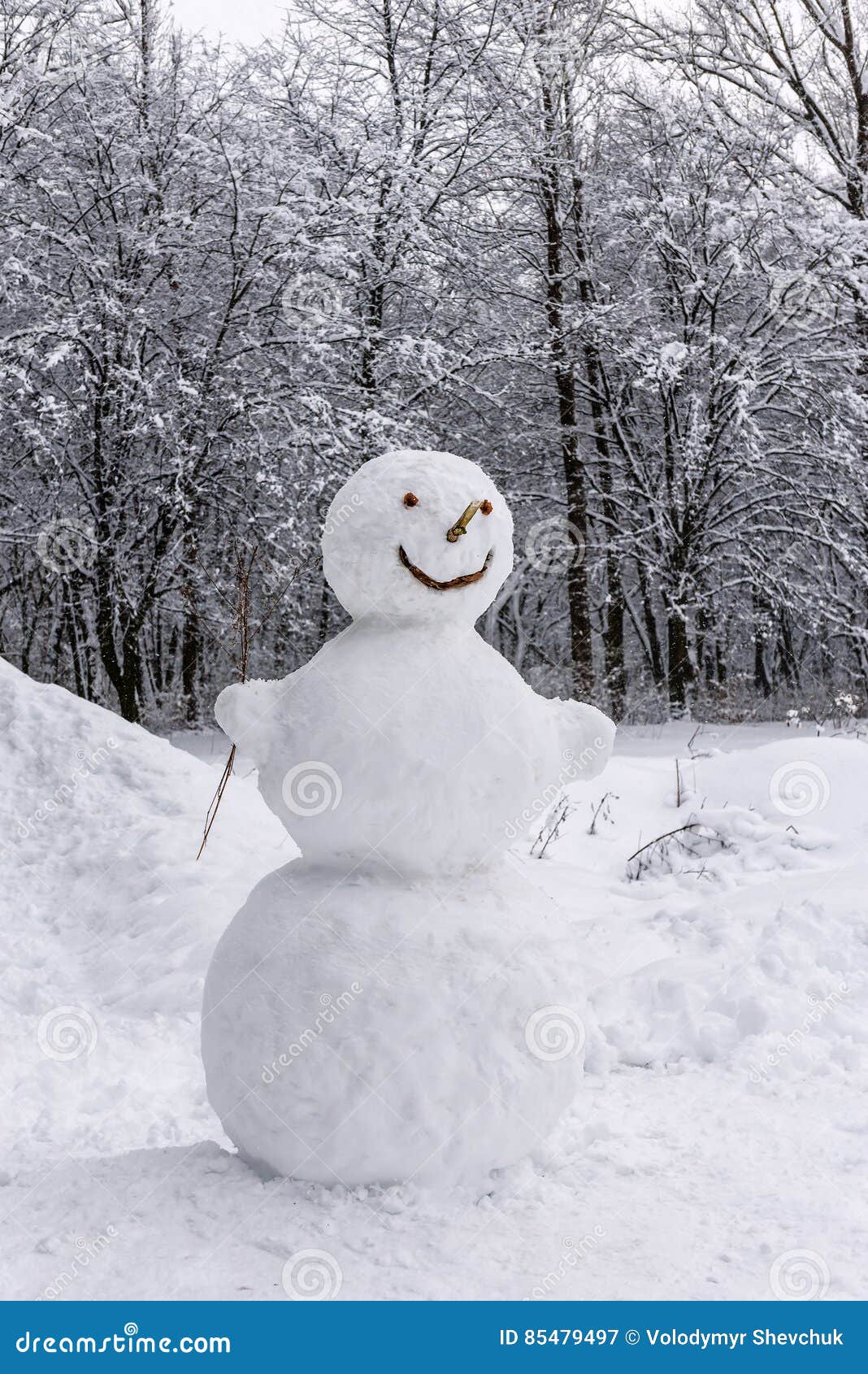 Snowman in forest stock image. Image of snowman, christmas - 85479497