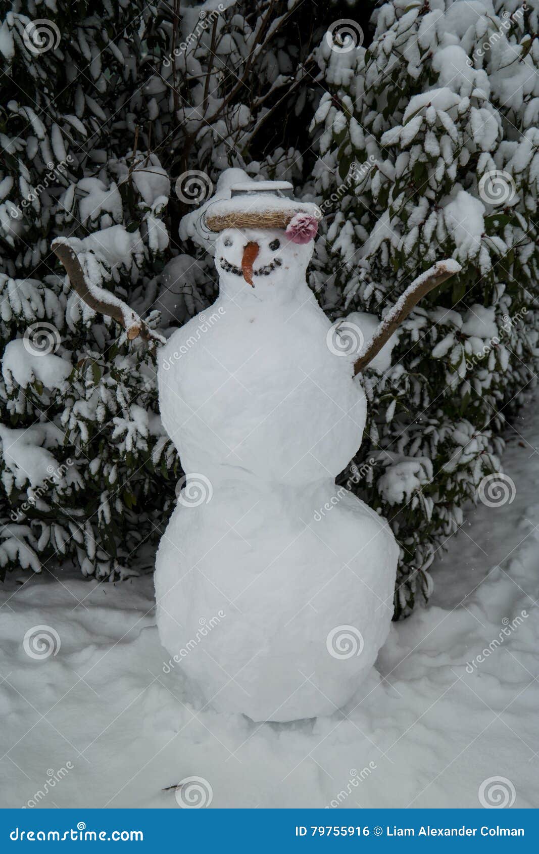 Snowman in a garden stock photo. Image of white, swiss - 79755916