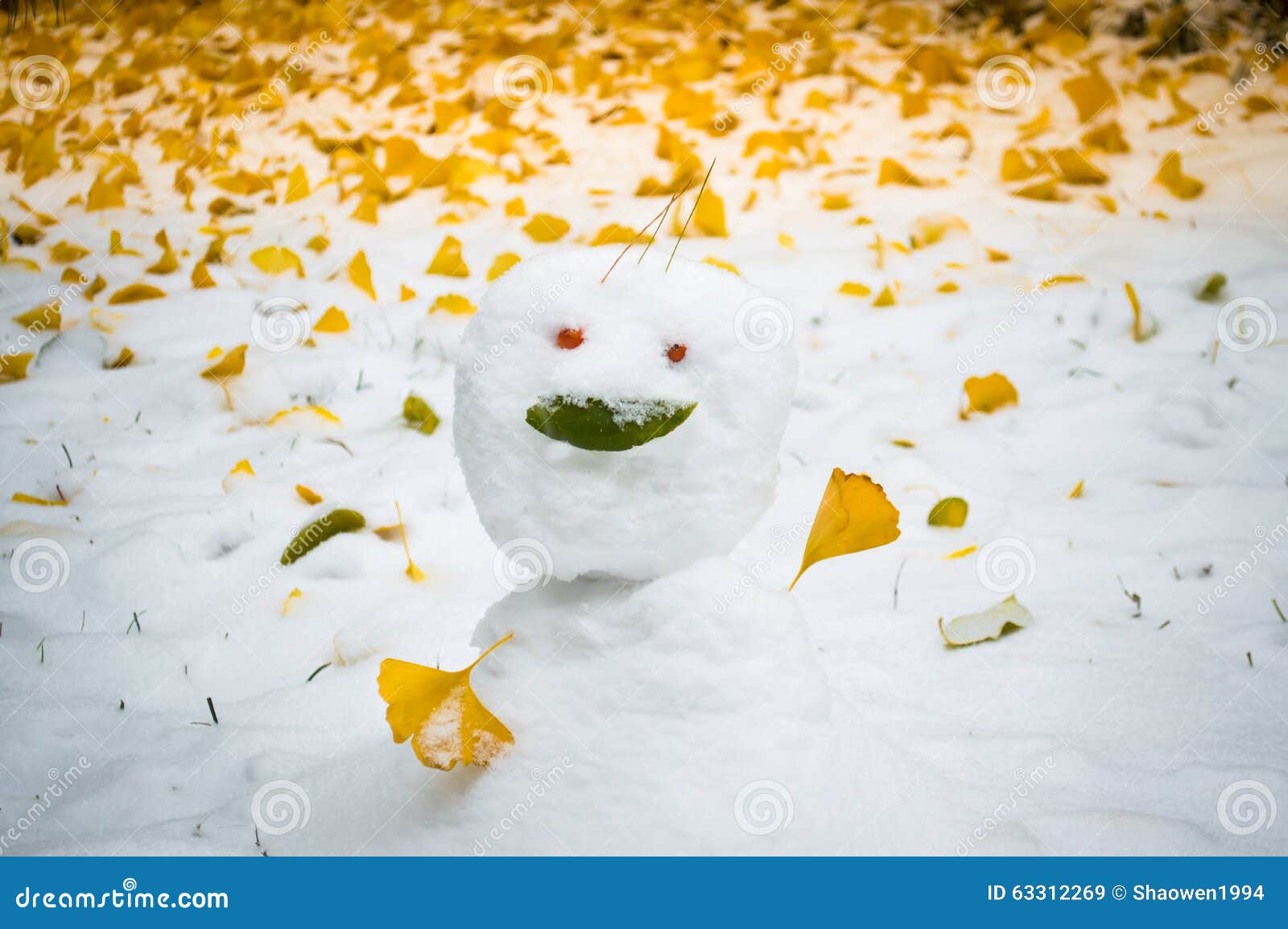 Snowman stock image. Image of winter, frozen, season - 63312269