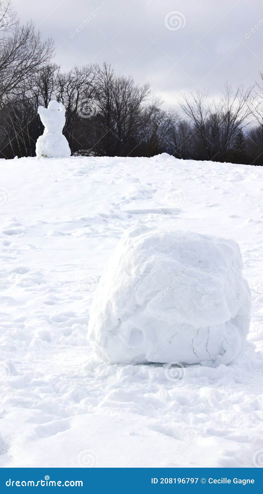 Snowman Goals Step 1 Out of 3 Stock Image - Image of building, forest ...