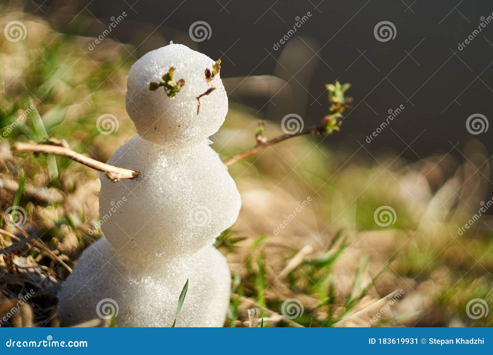 Snowman on the Grass Made from the Last Snow in Early Summer Stock ...