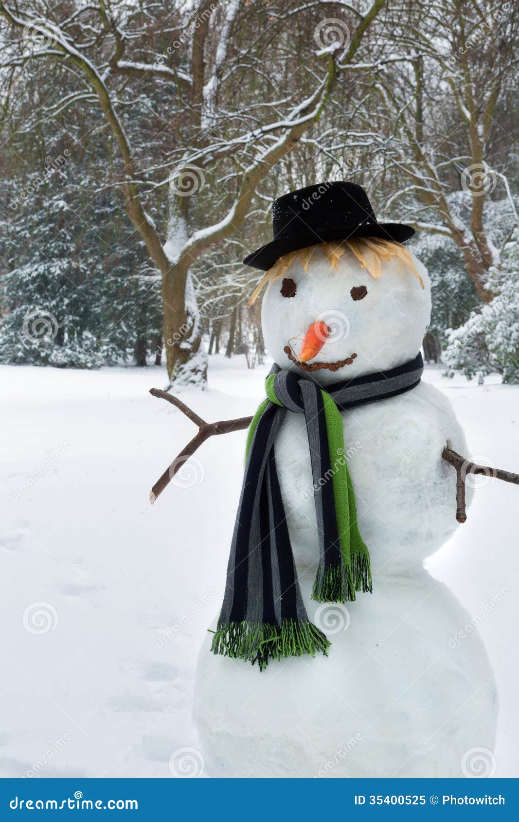 Snowman stock image. Image of snowman, nature, cold, cute - 35400525