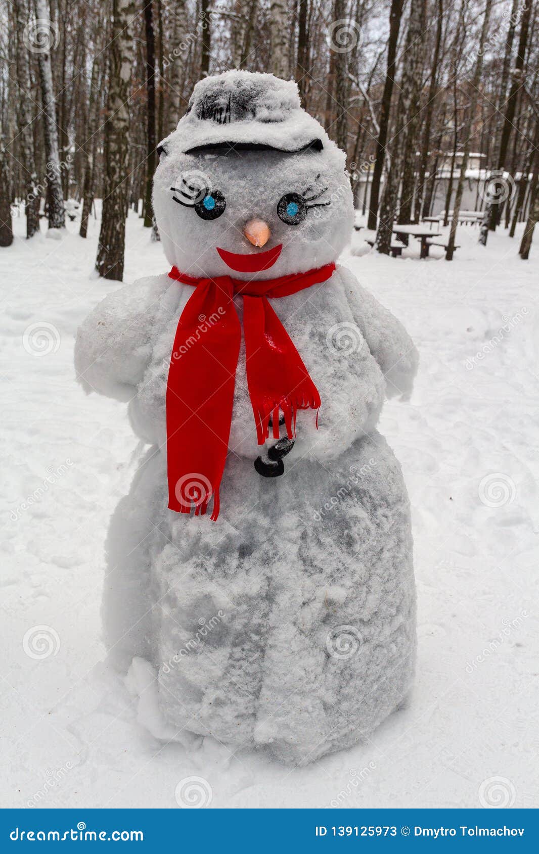 Snowman with Hat and Scarf in the Park Stock Image - Image of childhood ...