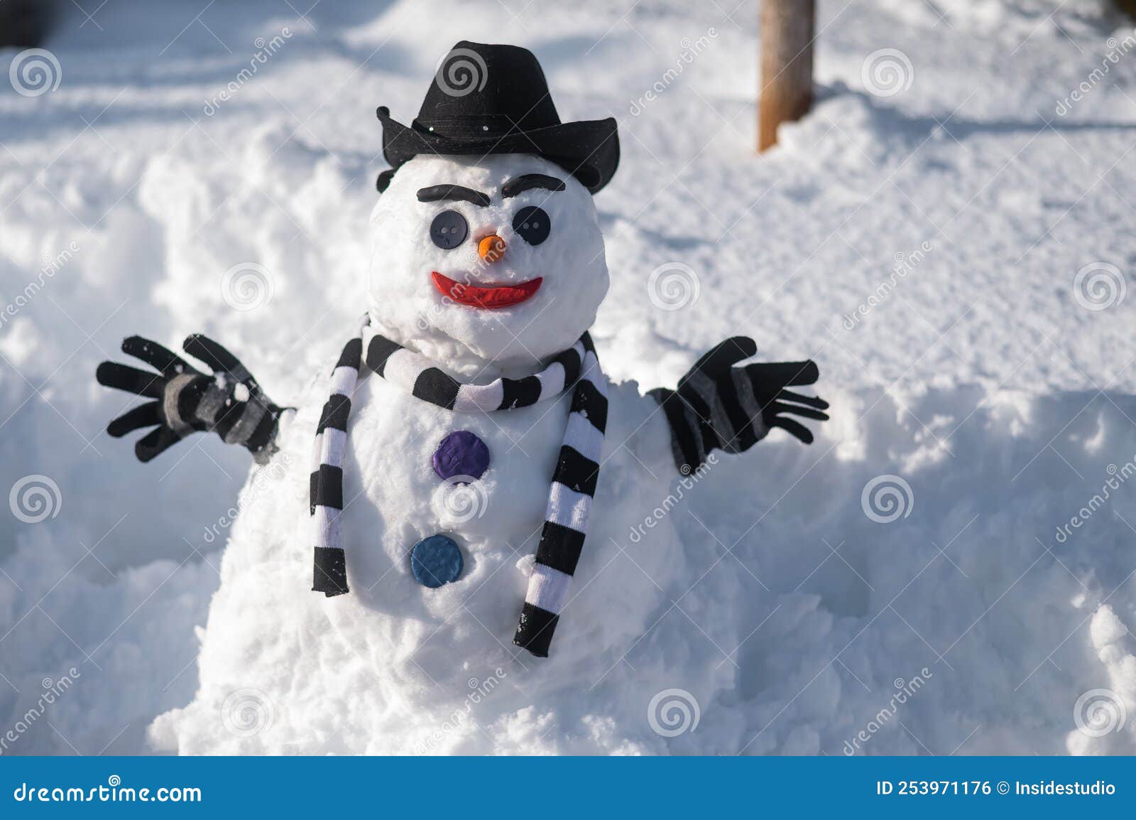 Snowman in a Hat and a Striped Scarf. Winter Fun. Stock Photo - Image ...