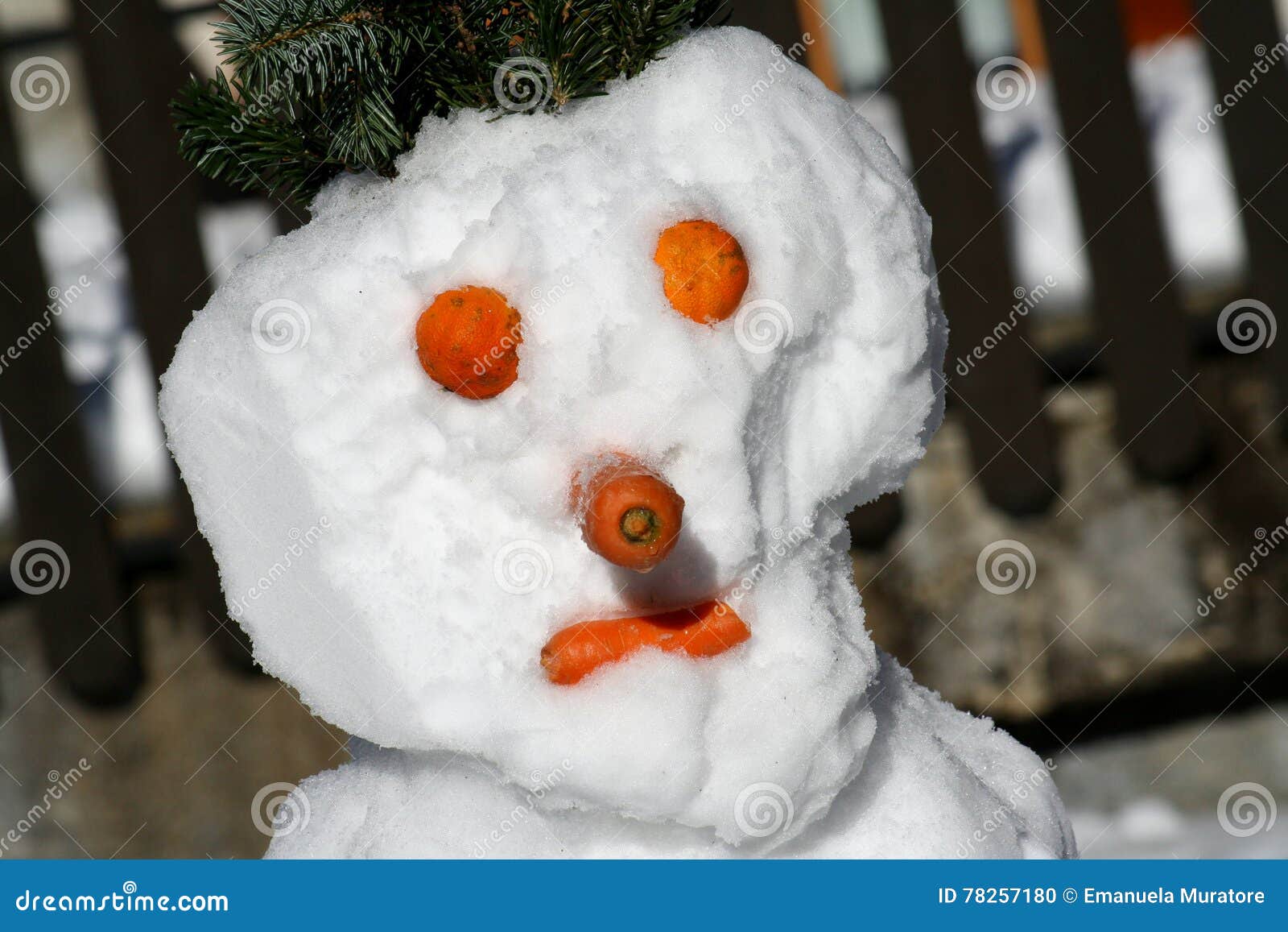Snowman head stock photo. Image of outdoors, carrots - 78257180