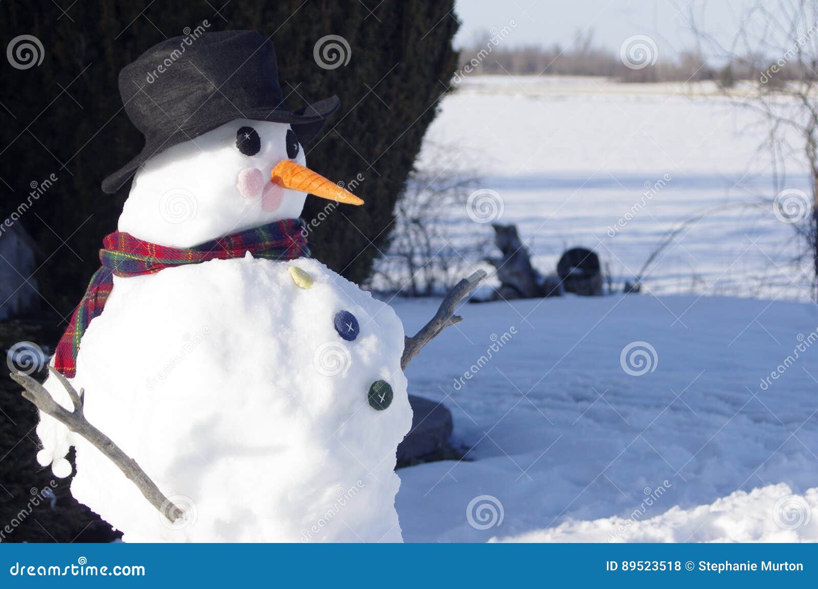 Snowman stock photo. Image of snowball, country, profile - 89523518