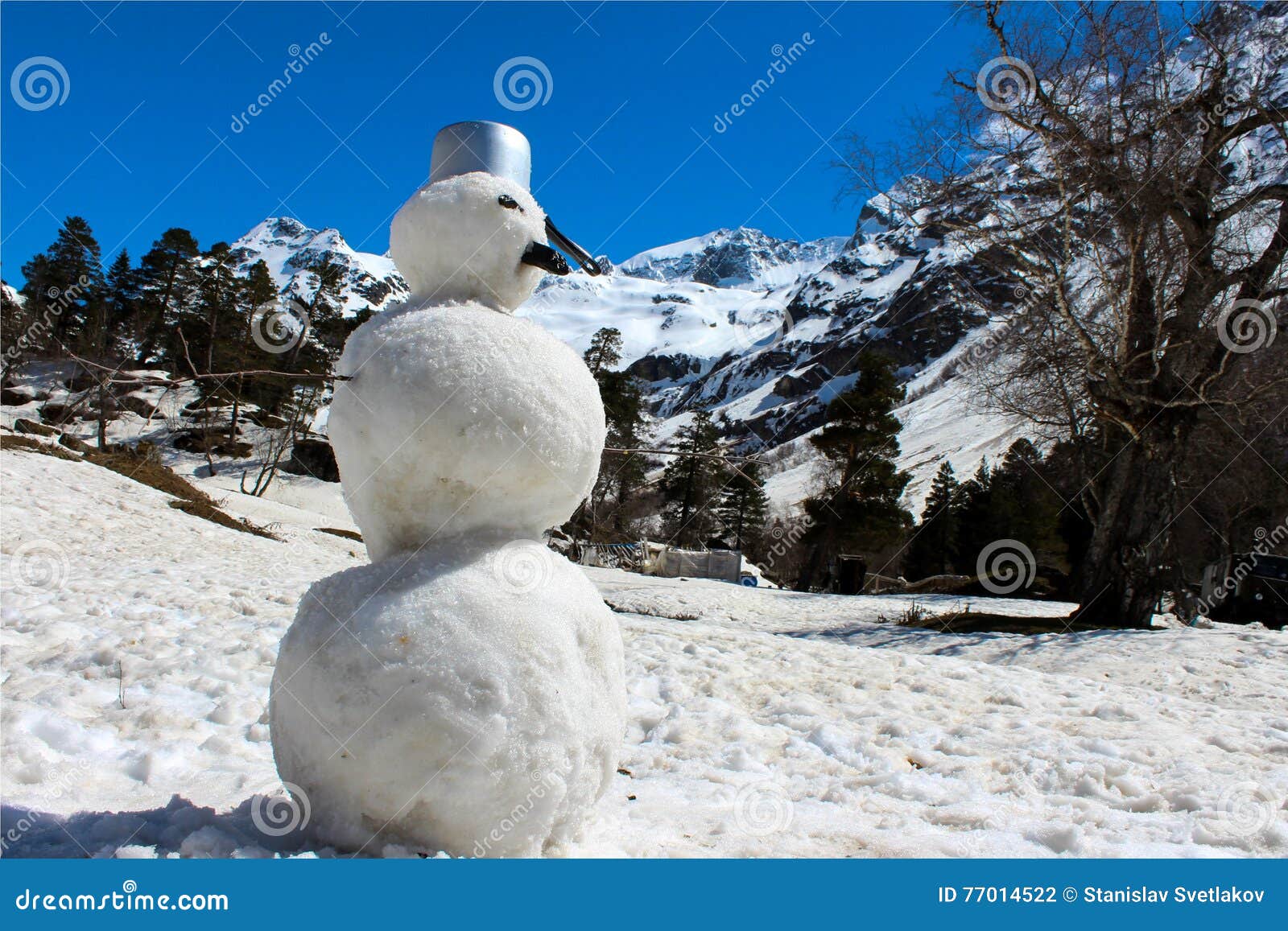 Snowman stock photo. Image of gourmet, closeup, isolated - 77014522