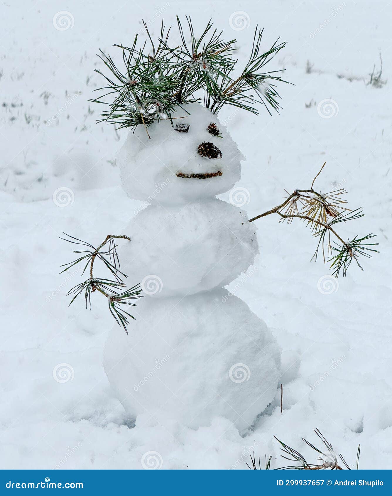 Snowman in Nature in Winter Stock Image - Image of outdoor, snowman ...