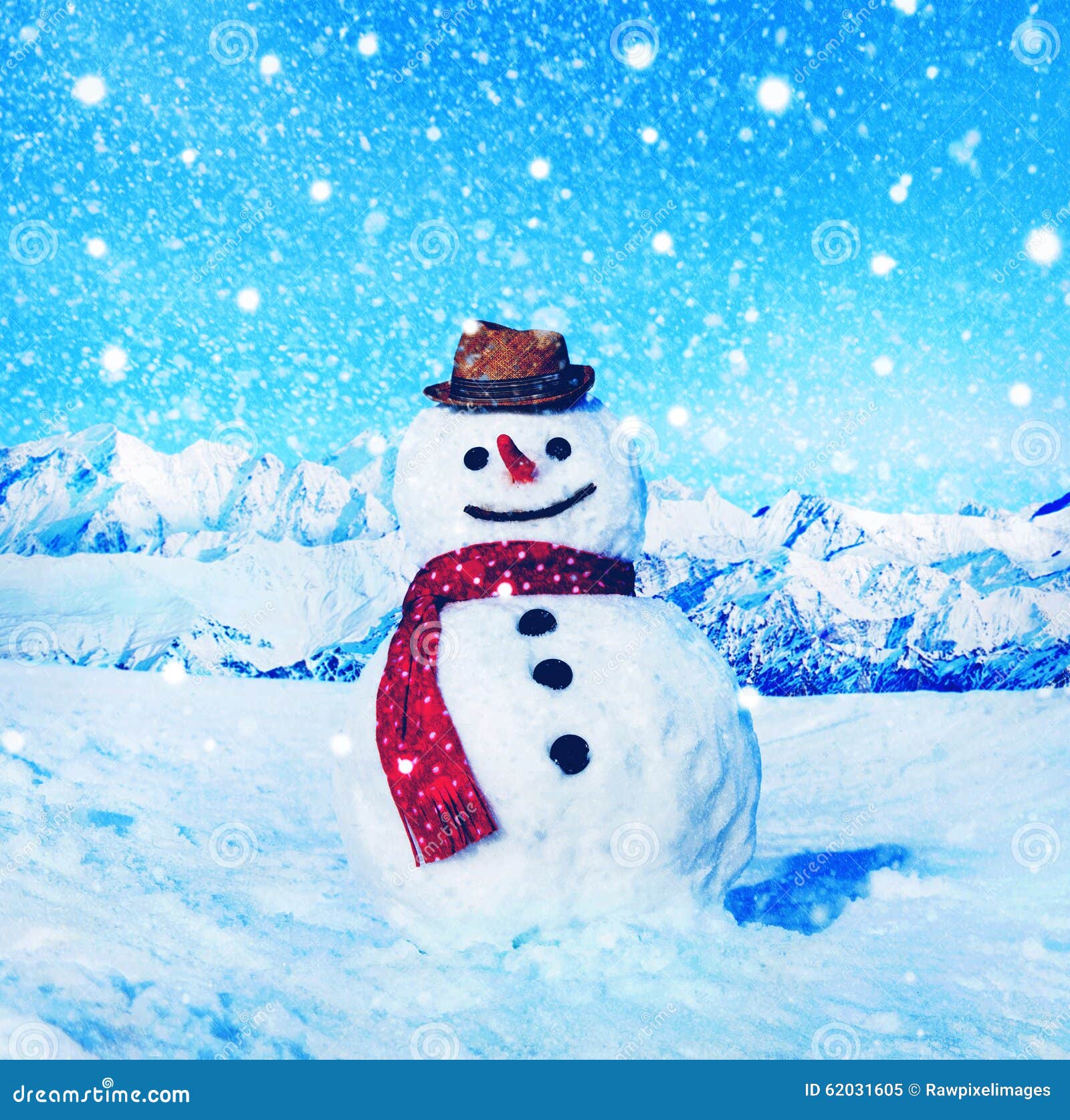 Snowman Outdoors White Scenery Christmas Celebration Concept Stock ...