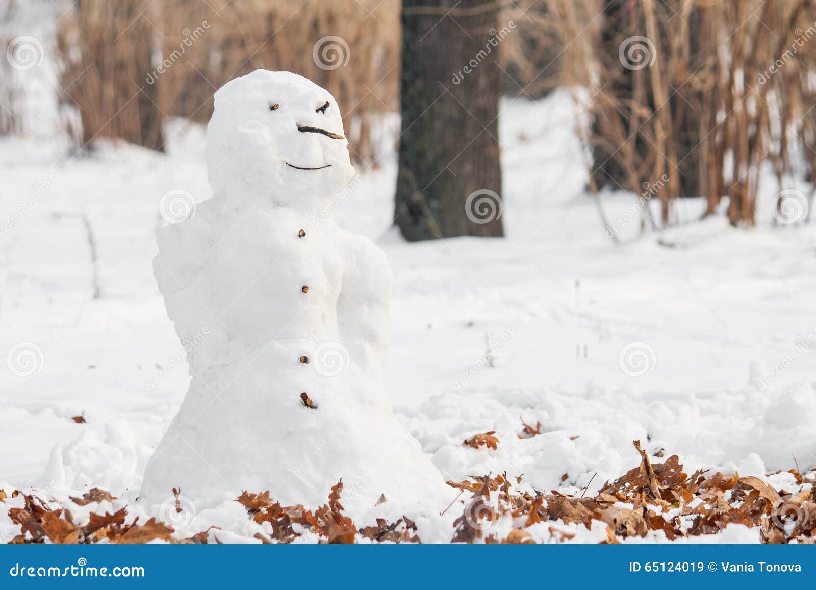 Snowman in the park. stock image. Image of cute, snowball - 65124019