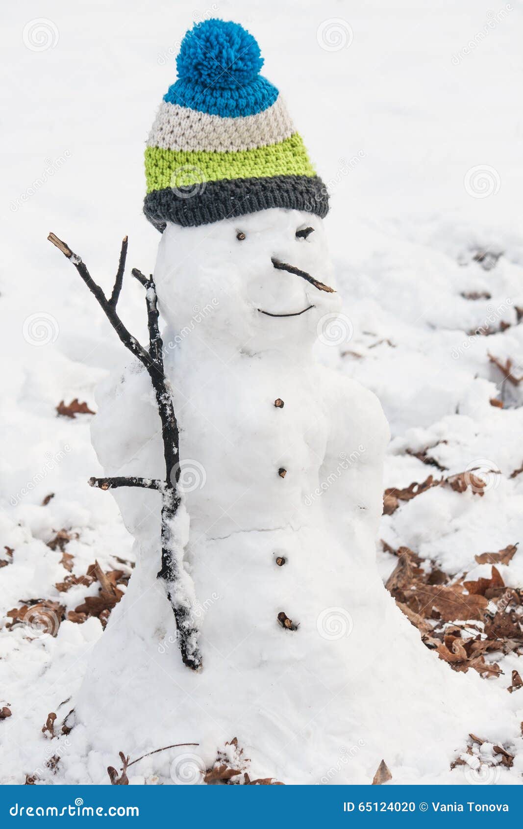 Snowman in the park. stock photo. Image of frozen, outdoor - 65124020