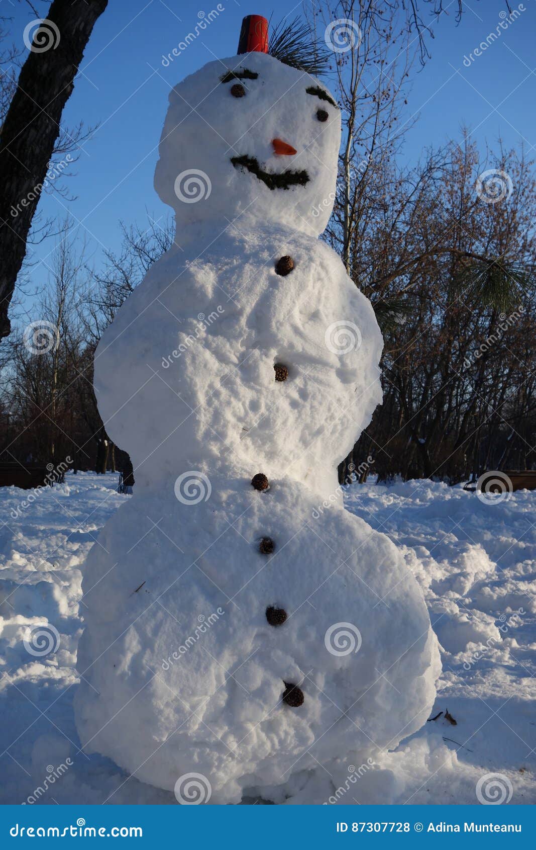 Snowman in park stock photo. Image of winter, character - 87307728