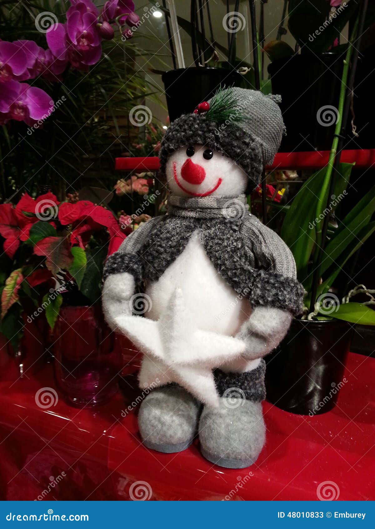 Snowman among the Plants stock image. Image of florist - 48010833